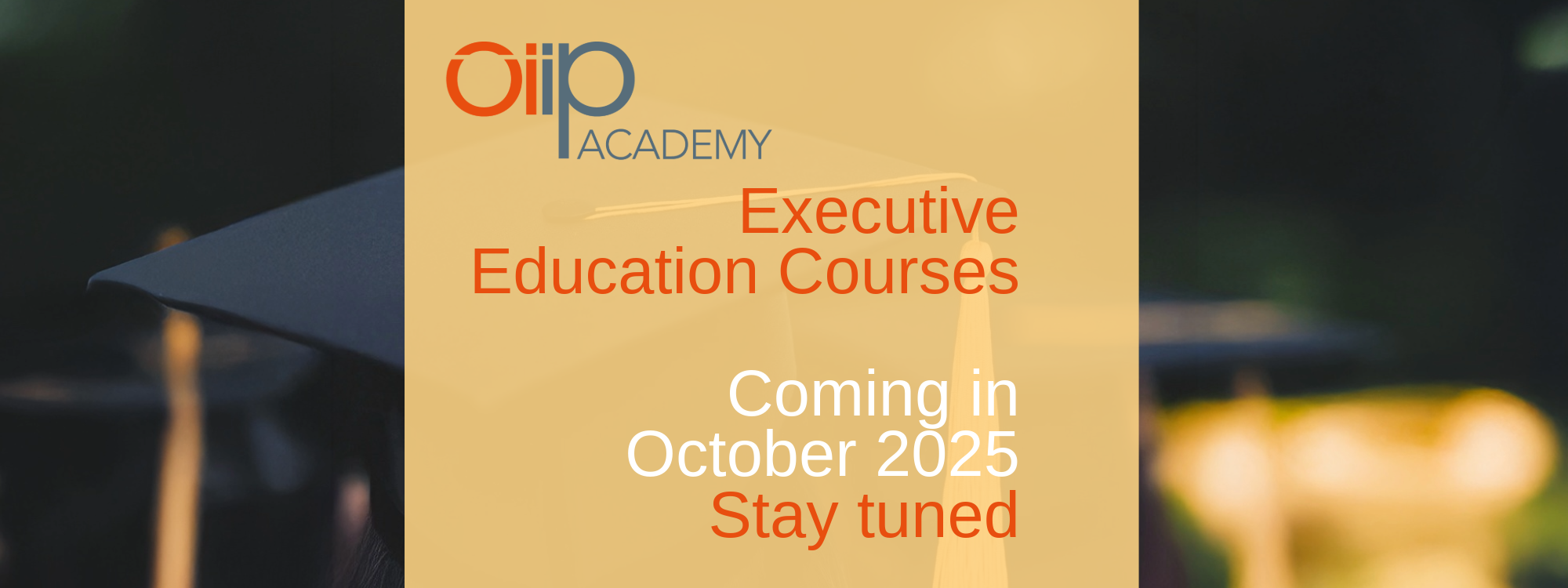 Austrian Insitute for International Affairs